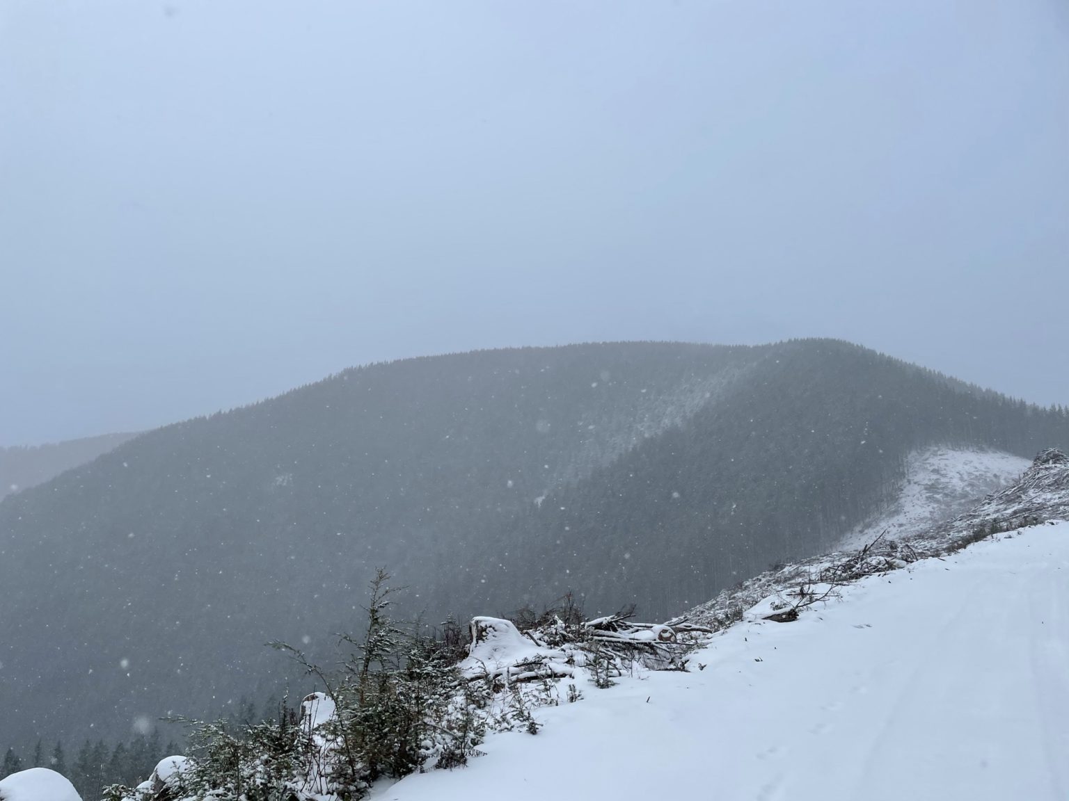 Dewdney Peak | Francis' Summit Trip Reports