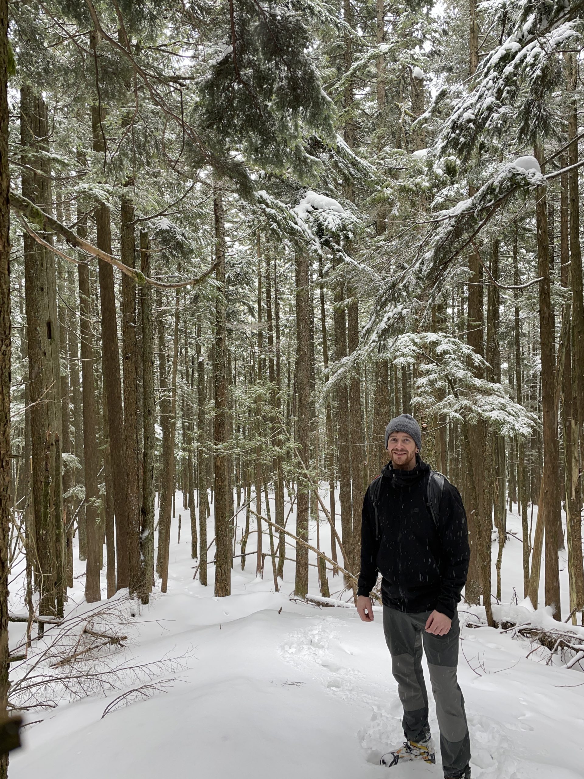 Dewdney Peak | Francis' Summit Trip Reports