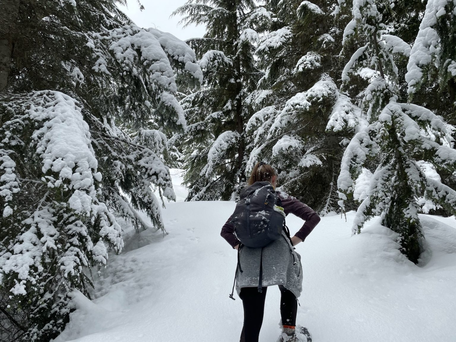 Mount Mercer | Francis' Summit Trip Reports