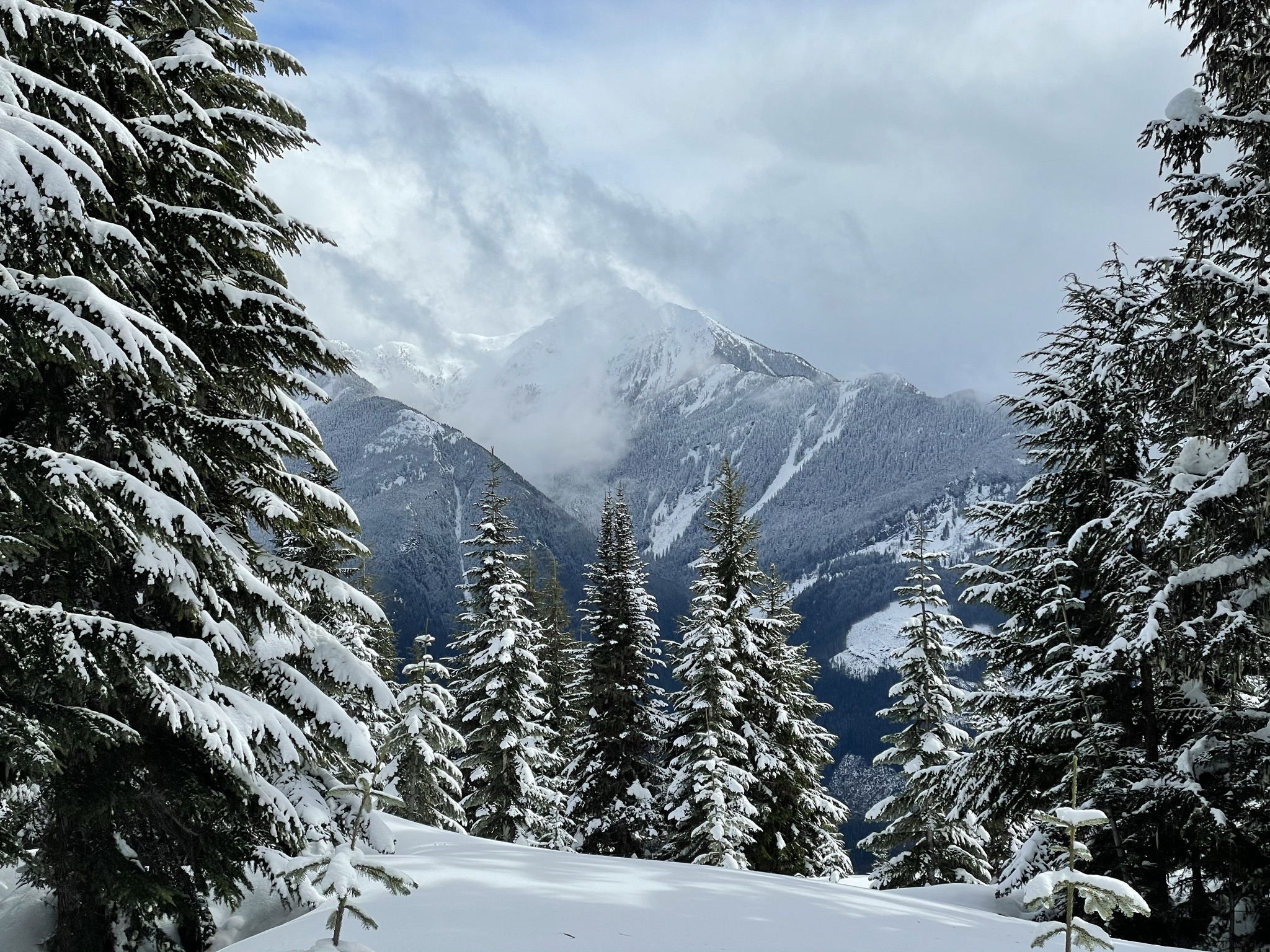 Mount Mercer | Francis' Summit Trip Reports