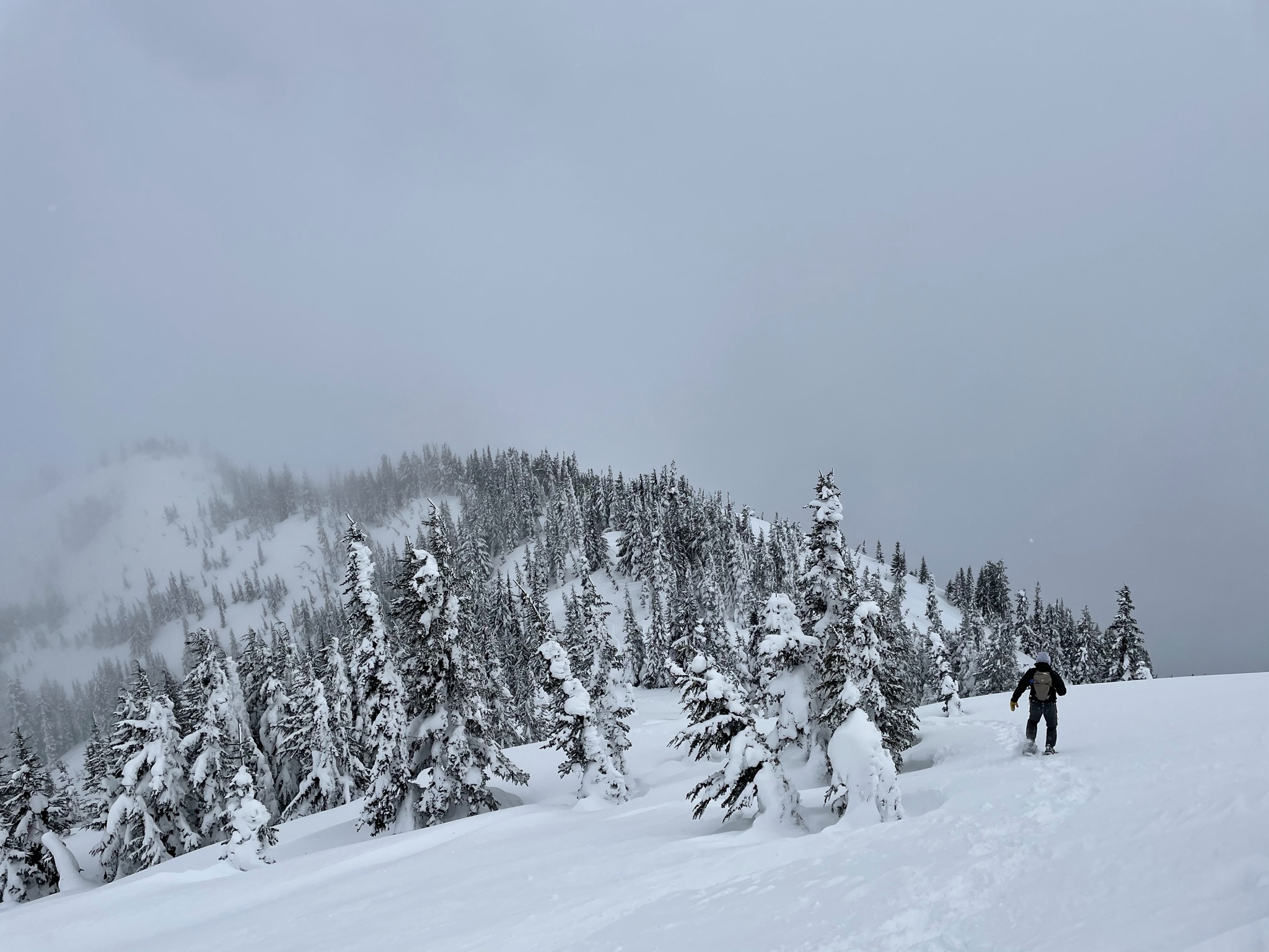 Mount Mercer | Francis' Summit Trip Reports