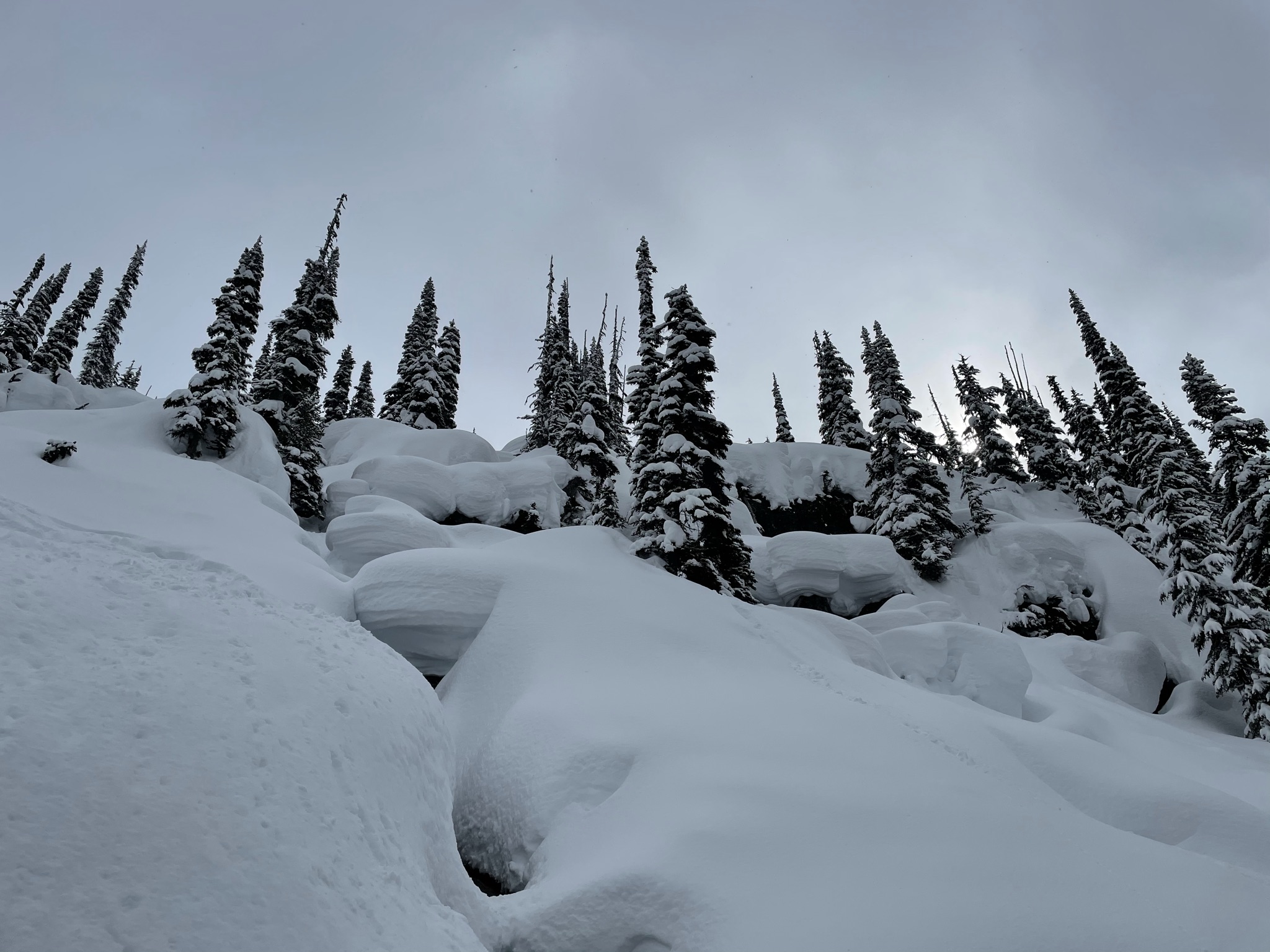 Mount Rohr | Francis' Summit Trip Reports