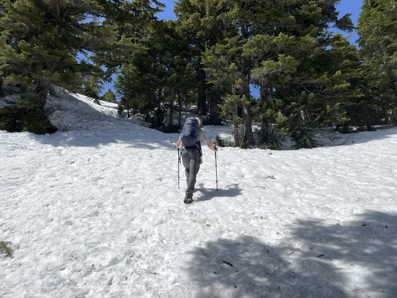 Deeks Peak | Francis' Summit Trip Reports