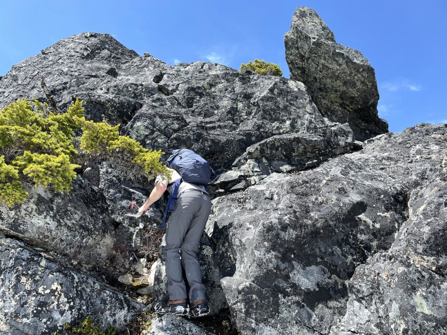Deeks Peak | Francis' Summit Trip Reports