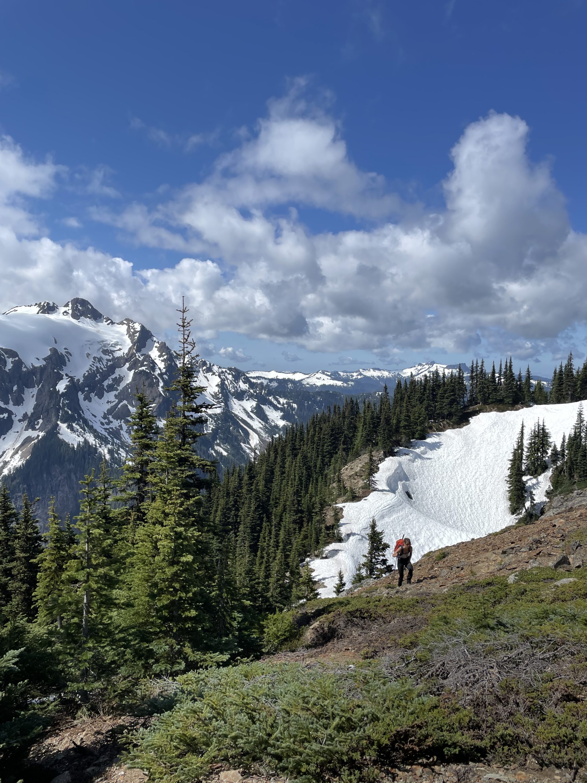Canadian Border Peak