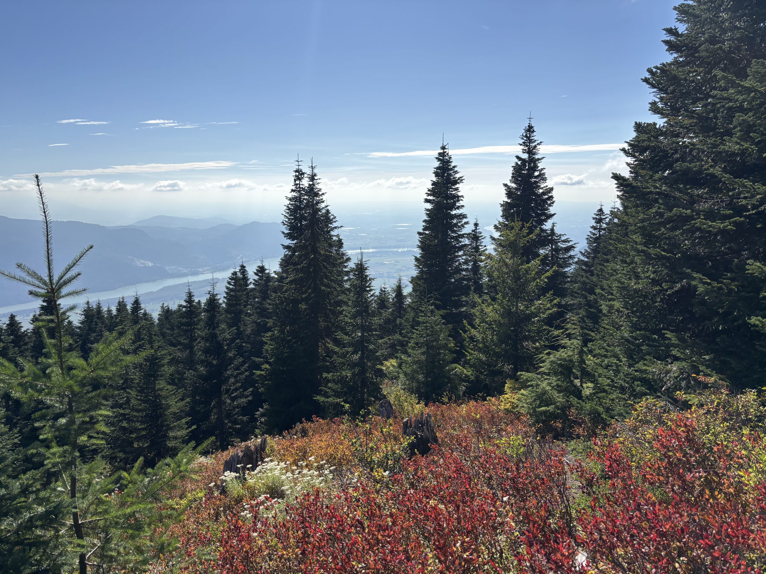 Nicomen Mountain | Francis' Summit Trip Reports